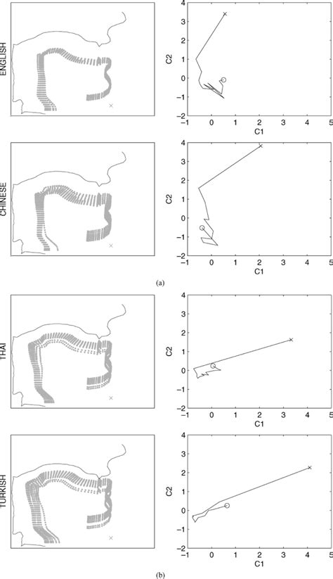 Vocal Tract Movements Of Aa R From The Word Target And The Download Scientific Diagram