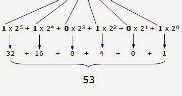 Programación Java Pasar un número de binario a decimal en Java