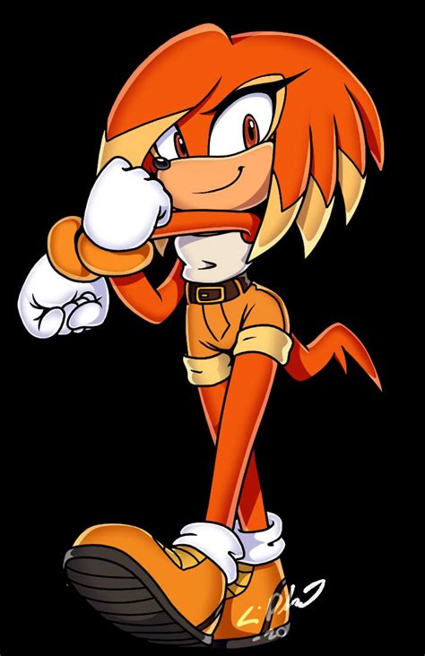 Sonic Ember The Echidna By Suzukiwee1357 On Deviantart Эскизы персонажей Фурри арт Рисунки лица