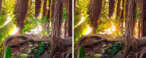 Steps To Adding Fantasy Lighting With Photoshop PetaPixel