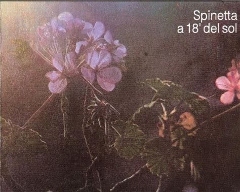 Blog Sugar Sex Magik Luis Alberto Spinetta A 18 Del Sol 1977