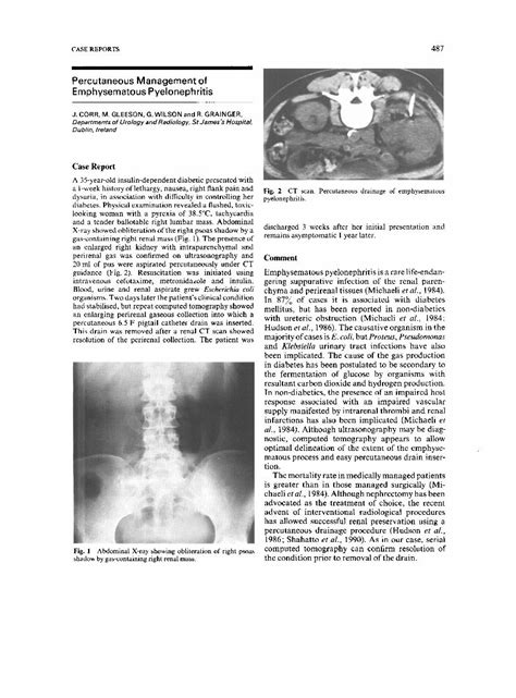 Pdf Percutaneous Management Of Emphysematous Pyelonephritis Dokumen Tips