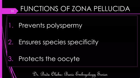 6 Basic Embryology Seriespdf
