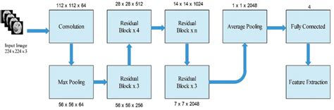 Modified Resnet50 Model For Brain Tumor Classification Download