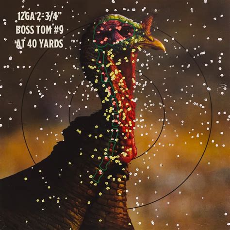 Boss Shotshells