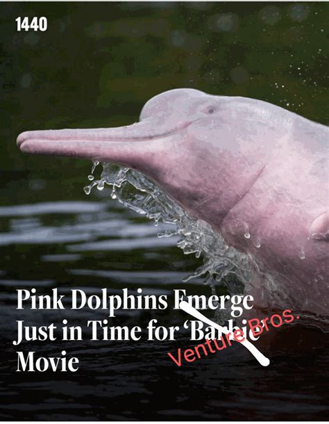 Hot Dolphin R Venturebros