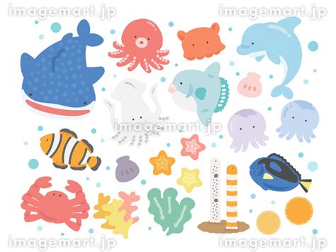 「海藻類」のイラスト素材・ベクター画像 イメージマート Imagemart