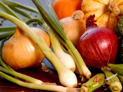 Exploratorium Onions The Onion Genomethe Entire Set Of Unique