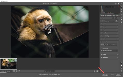 Easy Ways To Darken An Image In Photoshop