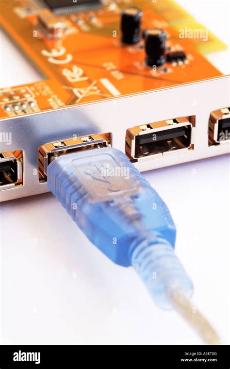 Computer Usb Cable Connecting To Port Stock Photo Alamy