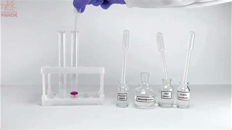 Хімія 8 клас Лабораторний дослід №2 Взаємодія лугів з кислотами в розчині Youtube