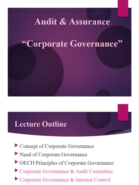 Audit Committees Pdf