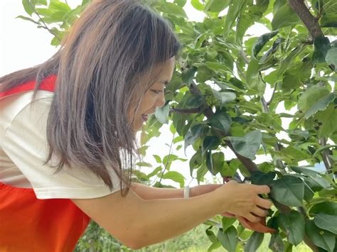 邵阳学院芙蓉学子探寻集体经济发展新模式 湖南民生网
