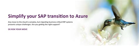 Support At Every Stage Of Your SAP Migration To Azure