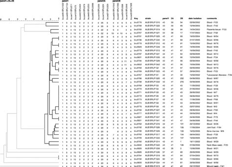 Dendrogram Based On The Mlva 16 Genotyping Assay Showing The