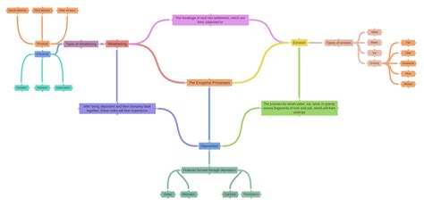 The Exogenic Processes Coggle Diagram