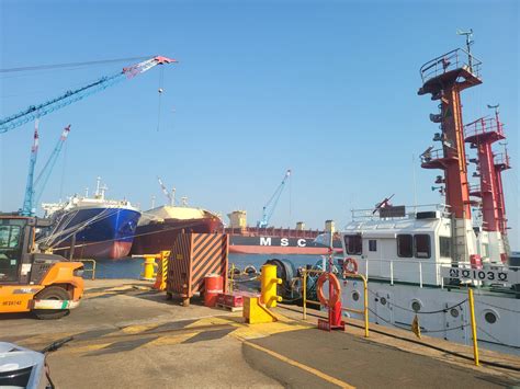 삼호중공업 족장 구인 전라남도 영암군 삼호읍 당근알바