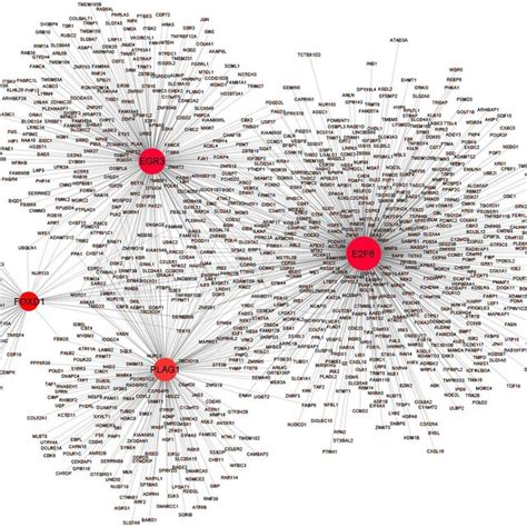 The Crc‐specific Transcriptional Regulatory Network Green Nodes Download Scientific Diagram
