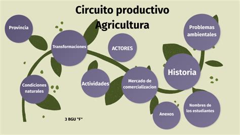 Circuito Productivo By Maria Quimis On Prezi