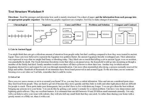 Description Text Structure Example