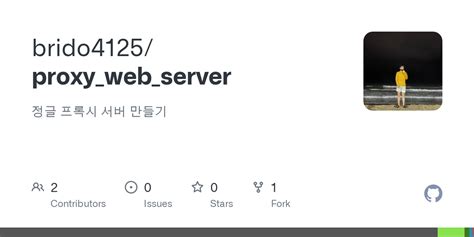 Github Brido Proxy Web Server