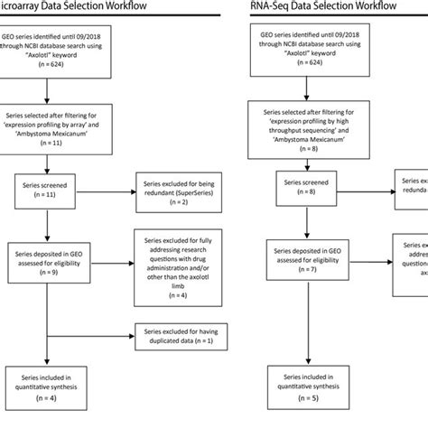 Flow Diagram Of The Ida Design This Diagram Illustrates The Selection