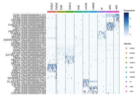 Dev Brain Iso Seq Figure 5 Marker Genes