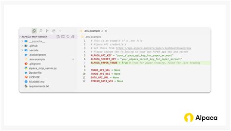 Vibe Coding Build Option Algos With Alpaca And Cursor