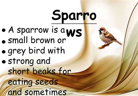 Biological Sparrows And Types Lec1pptx