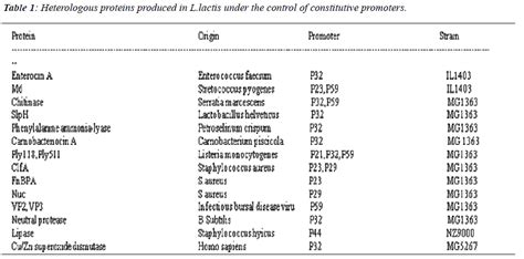 Review Lactococcus Lactis An Efficient Gram Positive Cell Factory For The Production And