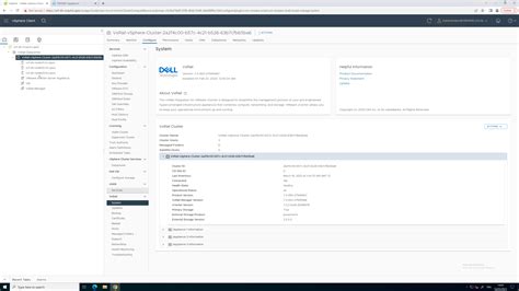 dell vxrail and dell powerstore better together through dynamic appson