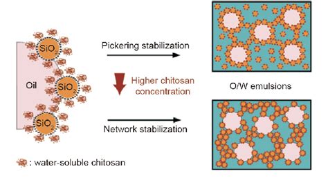 Pickering Emulsion Prepared With Chitosan Modified Silica Download Scientific Diagram