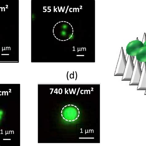 Ac Fluorescence Micrographs Of 2d Trapping Of Polystyrene Beads D
