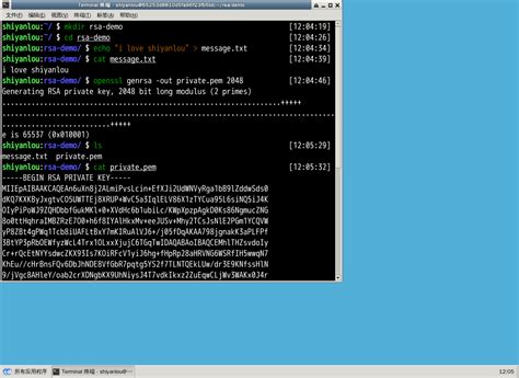 RSA算法加解密实验 蓝桥云课