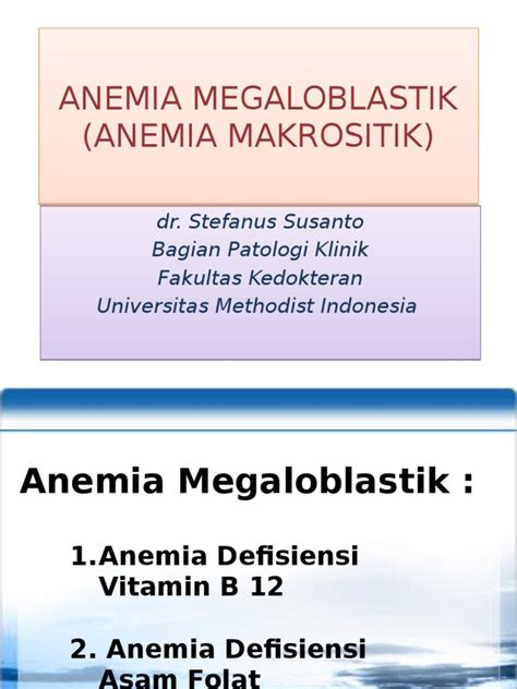 Anemia Megaloblastik Pdf