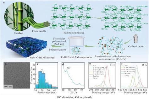 Ultra Robust Hydrogels With Adhesive Properties Developed Using Bamboo Cellulose Based Carbon
