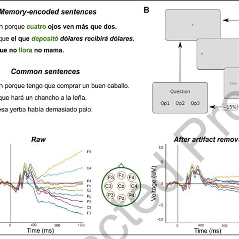 Experimental Design And EEG Data Pre Processing A Examples Of Common Download Scientific