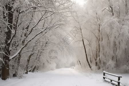 雪白的道路高清图片下载 正版图片600412231 摄图网