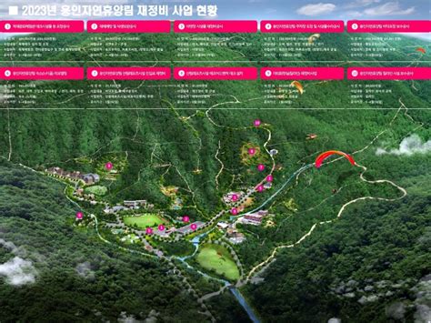 용인특례시 자연휴양림 재정비 사업 추진 뉴스로