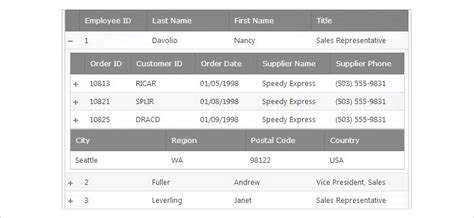 Hierarchical Grid Component Aspnet Ultimate Ui
