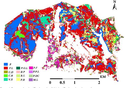 Figure 1 From Tree Species Classification Using Machine Learning Algorithms With Ohs 2