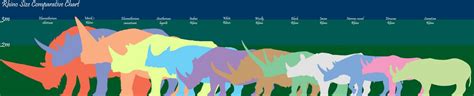 Science Art Net Rhino Size Comparative Chart