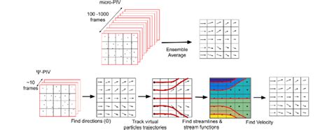 The Principal Difference Between The Micro Piv And Ψ Piv Algorithms In