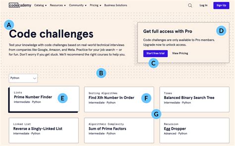 Codecademy Introduction To Ui And Ux Design At Debra Baughman Blog