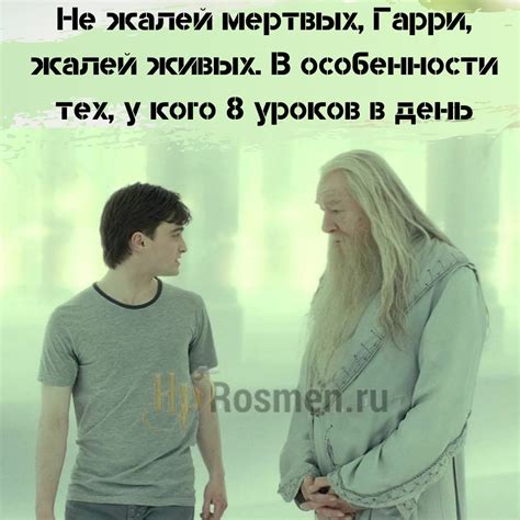 Интернет магазин Интернет магазин книг о Гарри Поттере