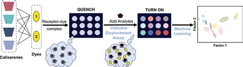 supramolecular fluorescence sensor array based on calixarenes for