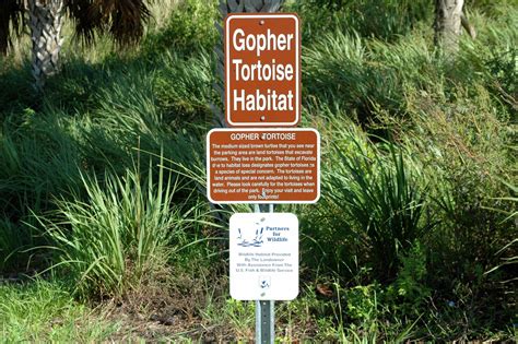 Edit Free Photo Of Gophertortoisehabitatsignwarning