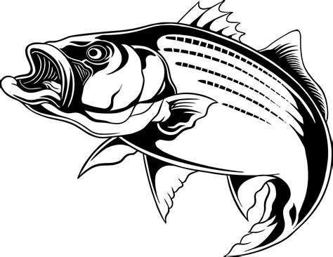Fish Line Art Vector 21335606 Vector Art At Vecteezy