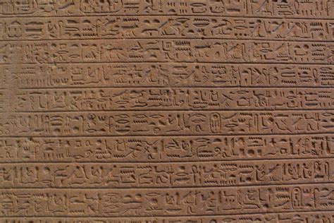 Logic Books — Patrick Hurley Author