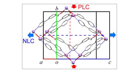 Negative Linear Compressibility Response To Pressure In Multitype Wine Rack Metal Organic